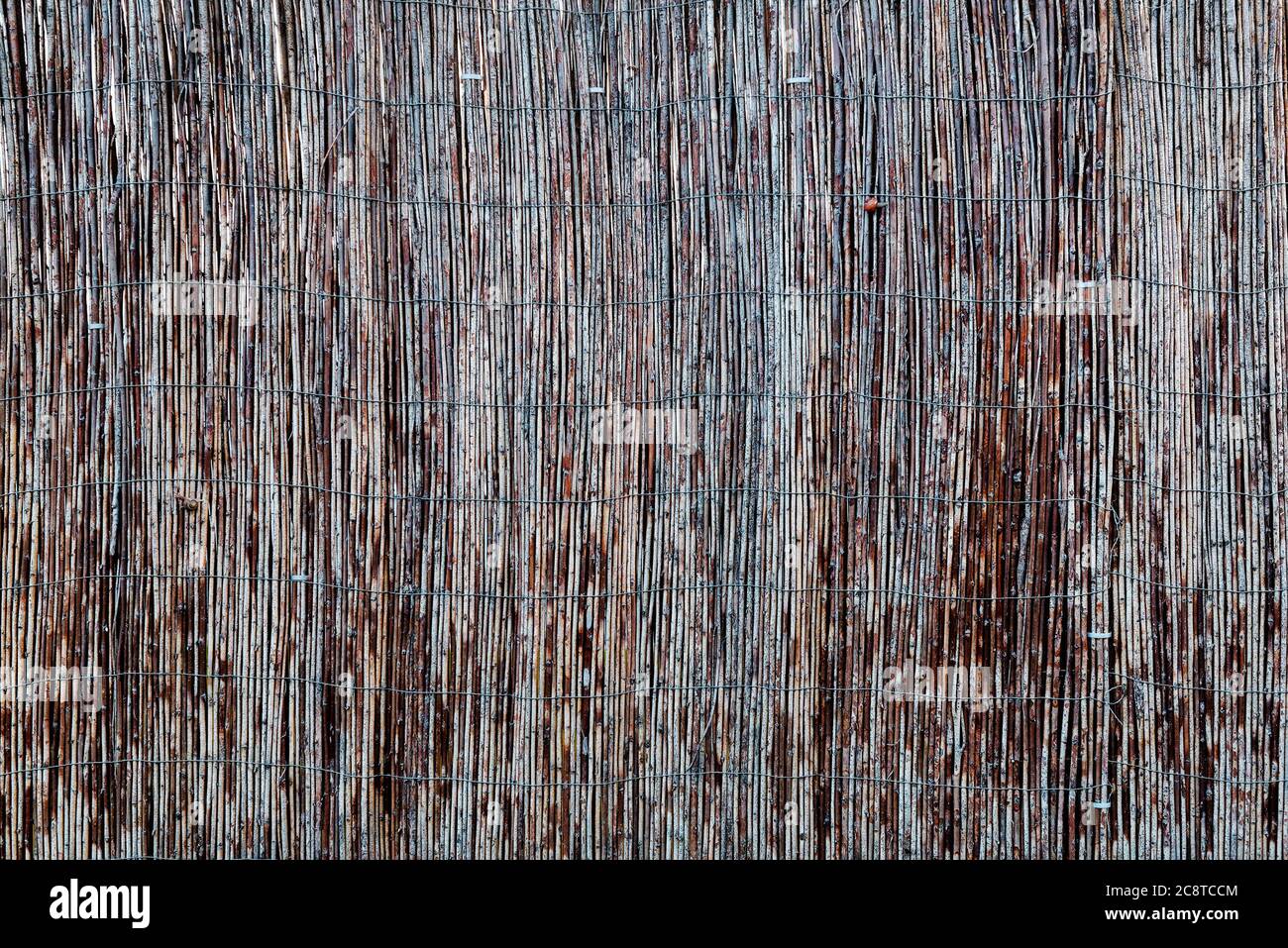 A reed fence natural background. Reed covering showing texture Stock ...