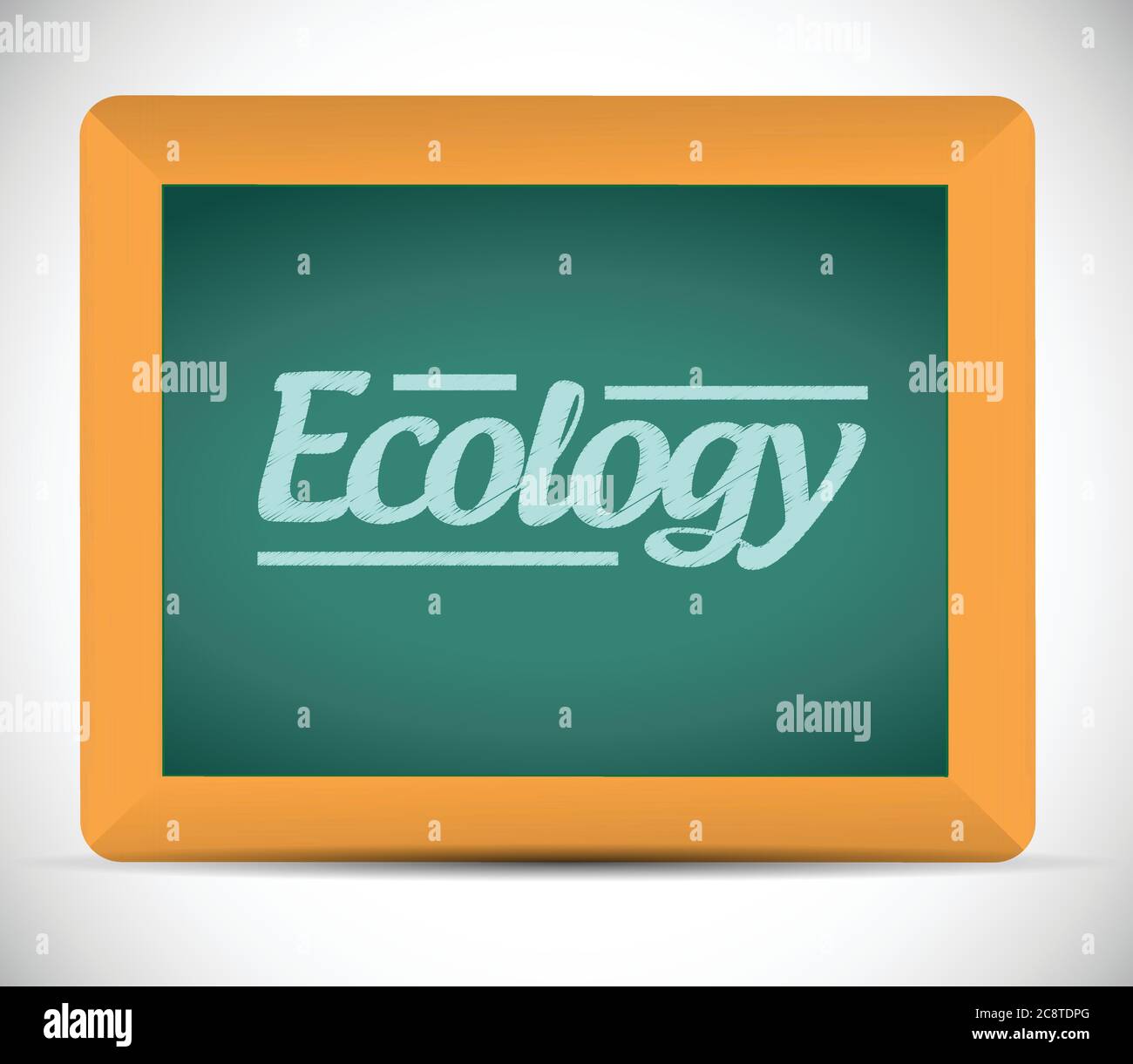 Ecology word written on a blackboard. illustration design over a white ...