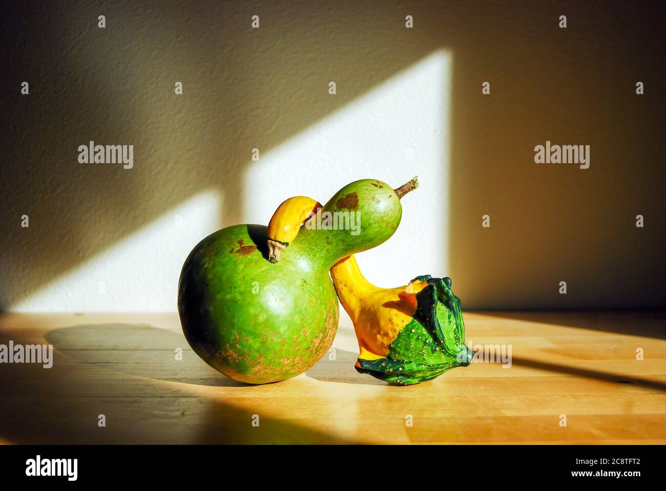 Two different colorful gourds joined at the neck Stock Photo - Alamy