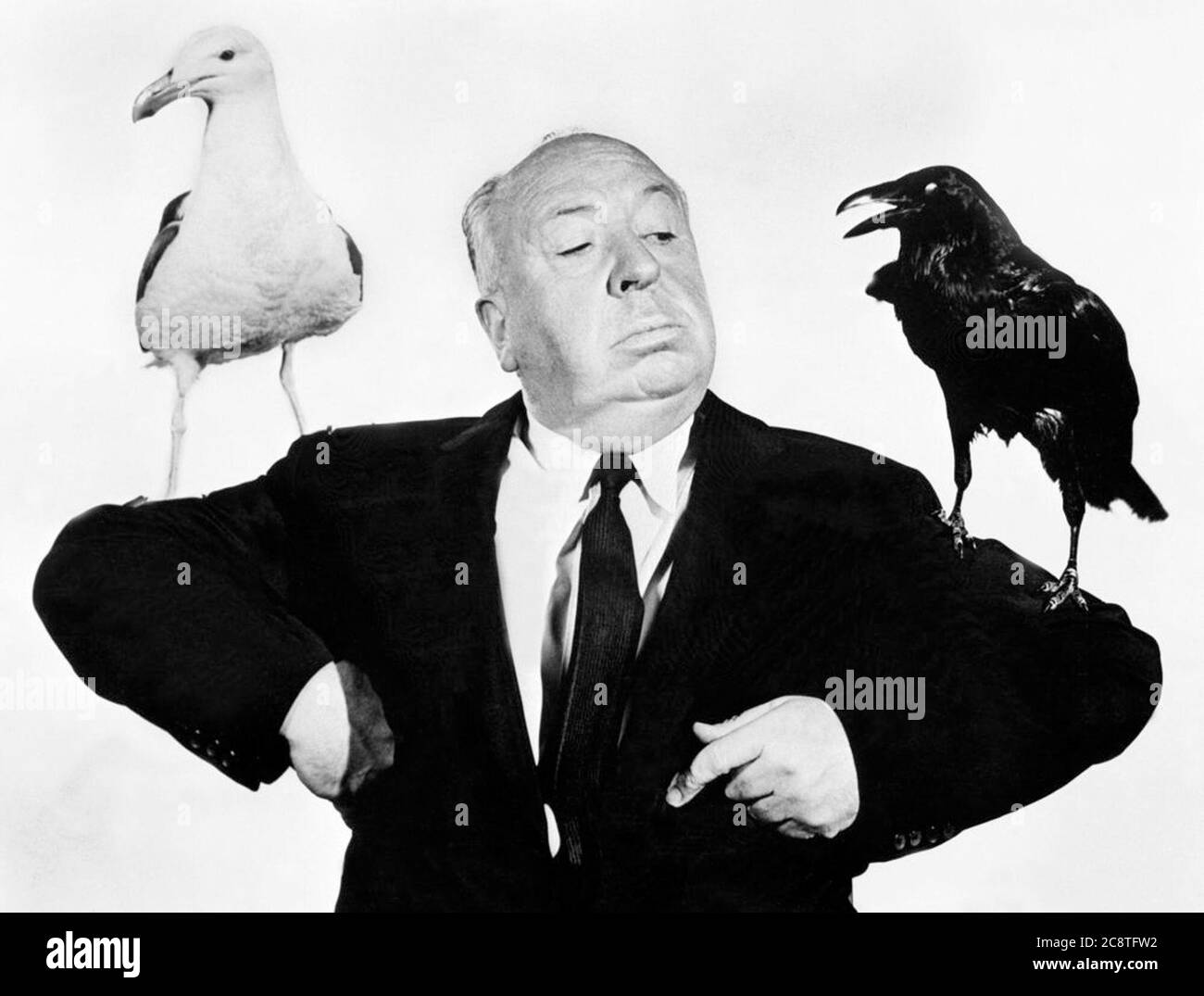 Alfred hitchcock alfred hitchcock shooting picture hi-res stock ...