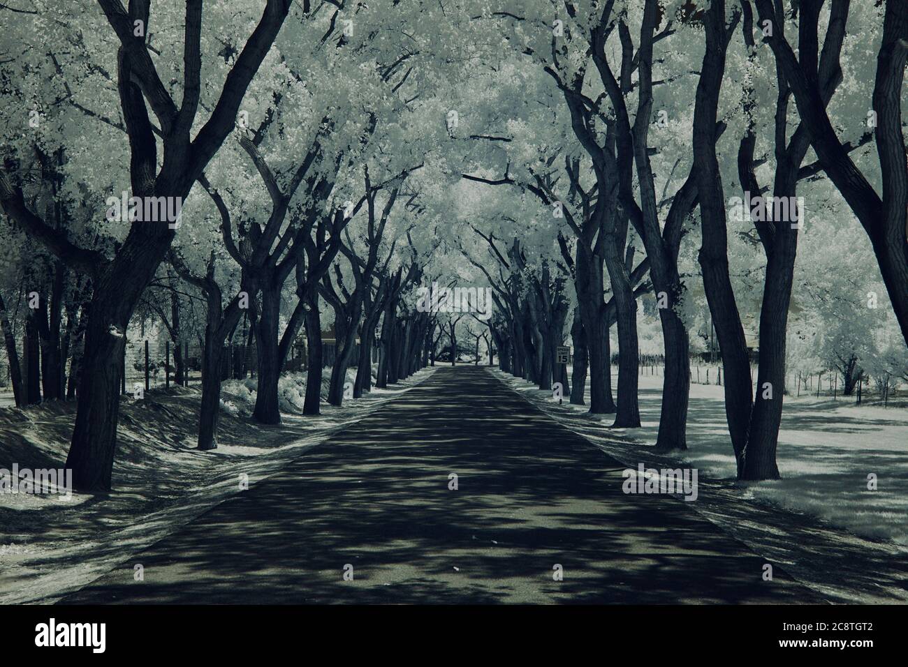 An infrared view of a straight street leading to the horizon with tall ...