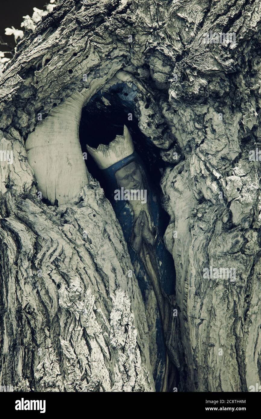 Man made tree hi-res stock photography and images - Alamy