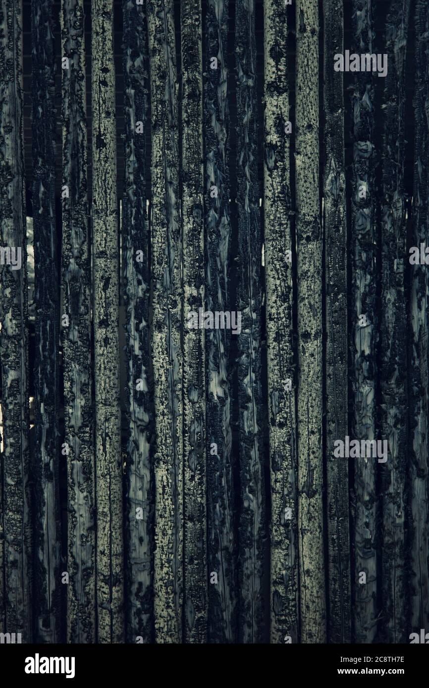 A close up infrared view of a fence made from tree limbs Stock Photo ...