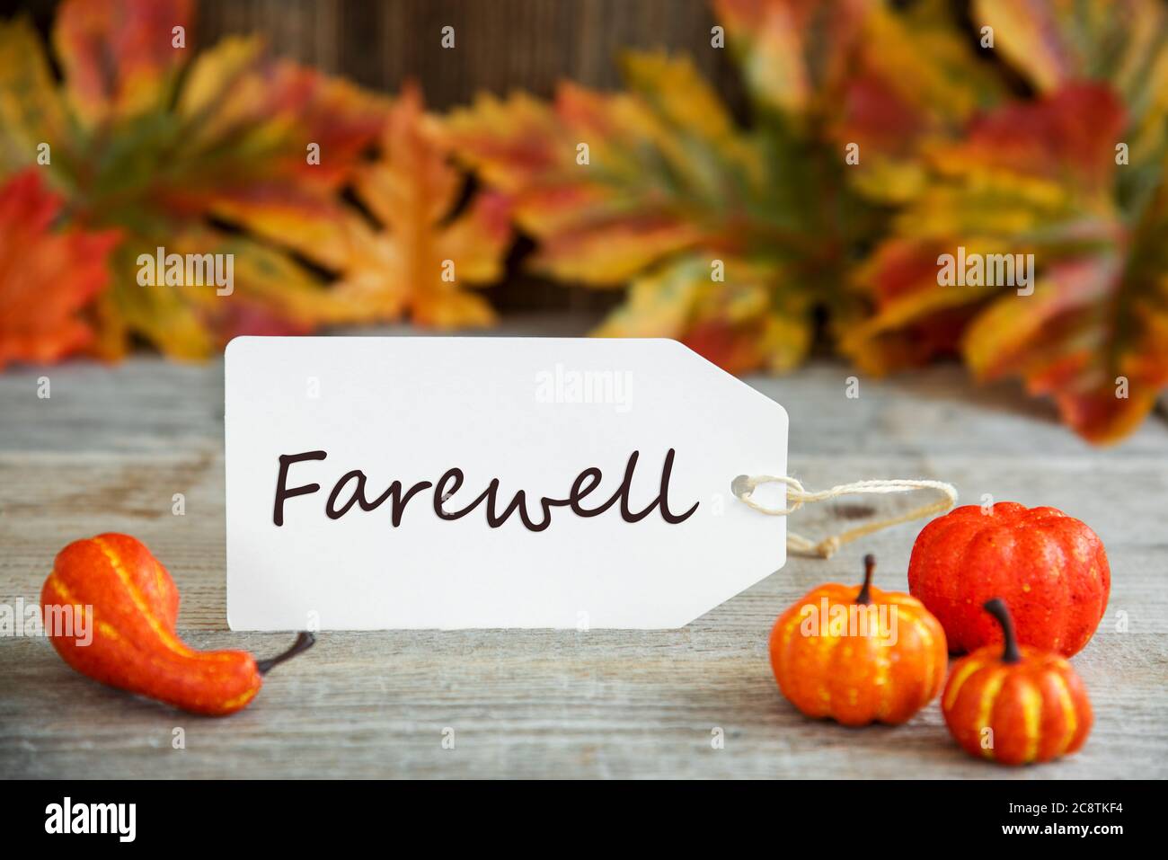 Label With Text Farewell, Pumpkin And Leaves Stock Photo - Alamy