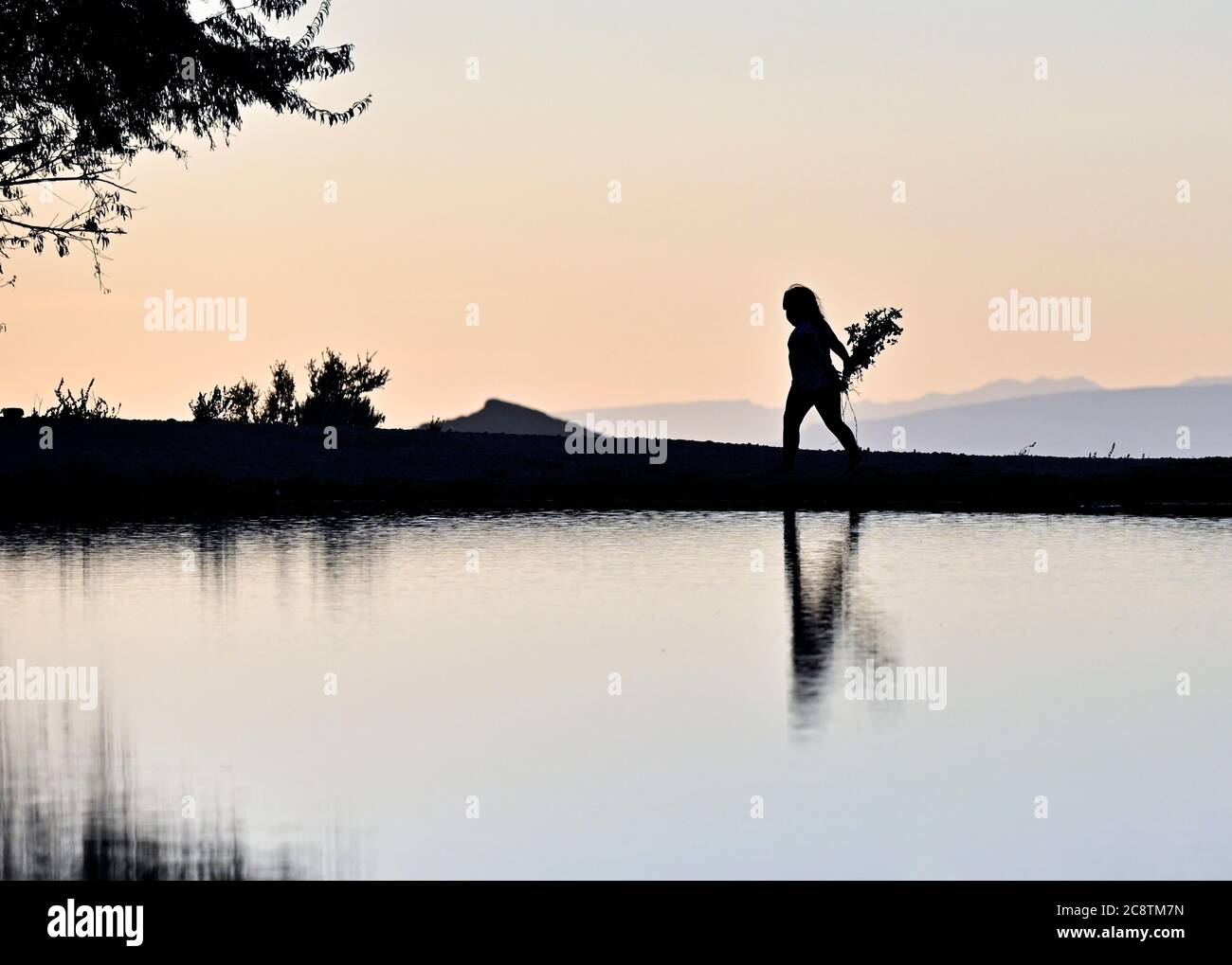 Cold Creek, Nevada, USA. 26th July, 2020. A young child carries a ...