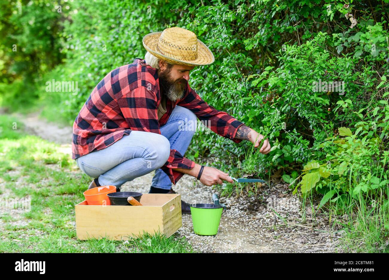 The gardener is digging in the garden. Work in a garden. mature man ...
