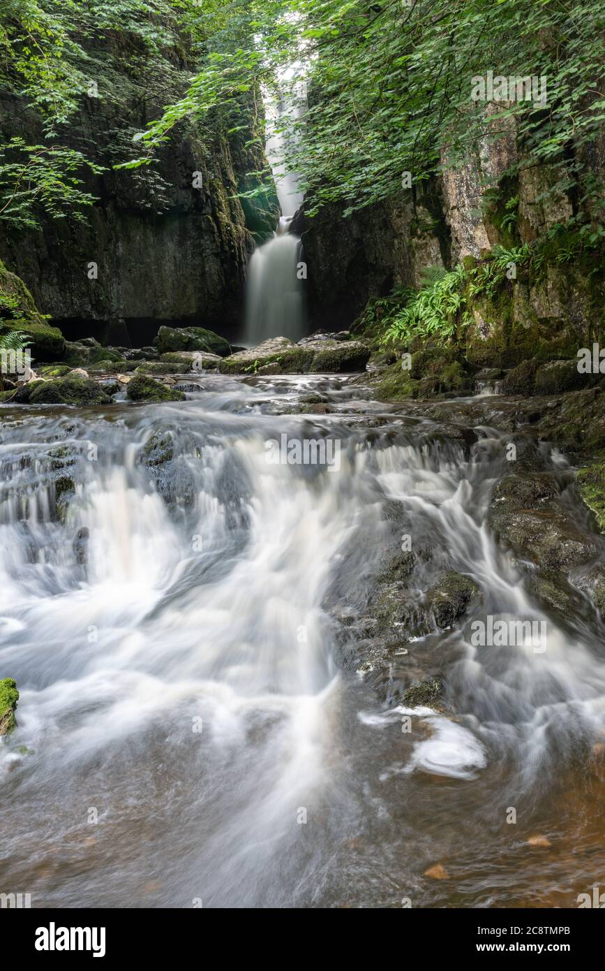 Catrigg Force waterfall in the Yorkshire Dales Stock Photo - Alamy