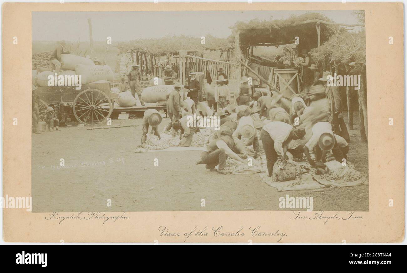 Sheep shearing historical hi-res stock photography and images - Alamy
