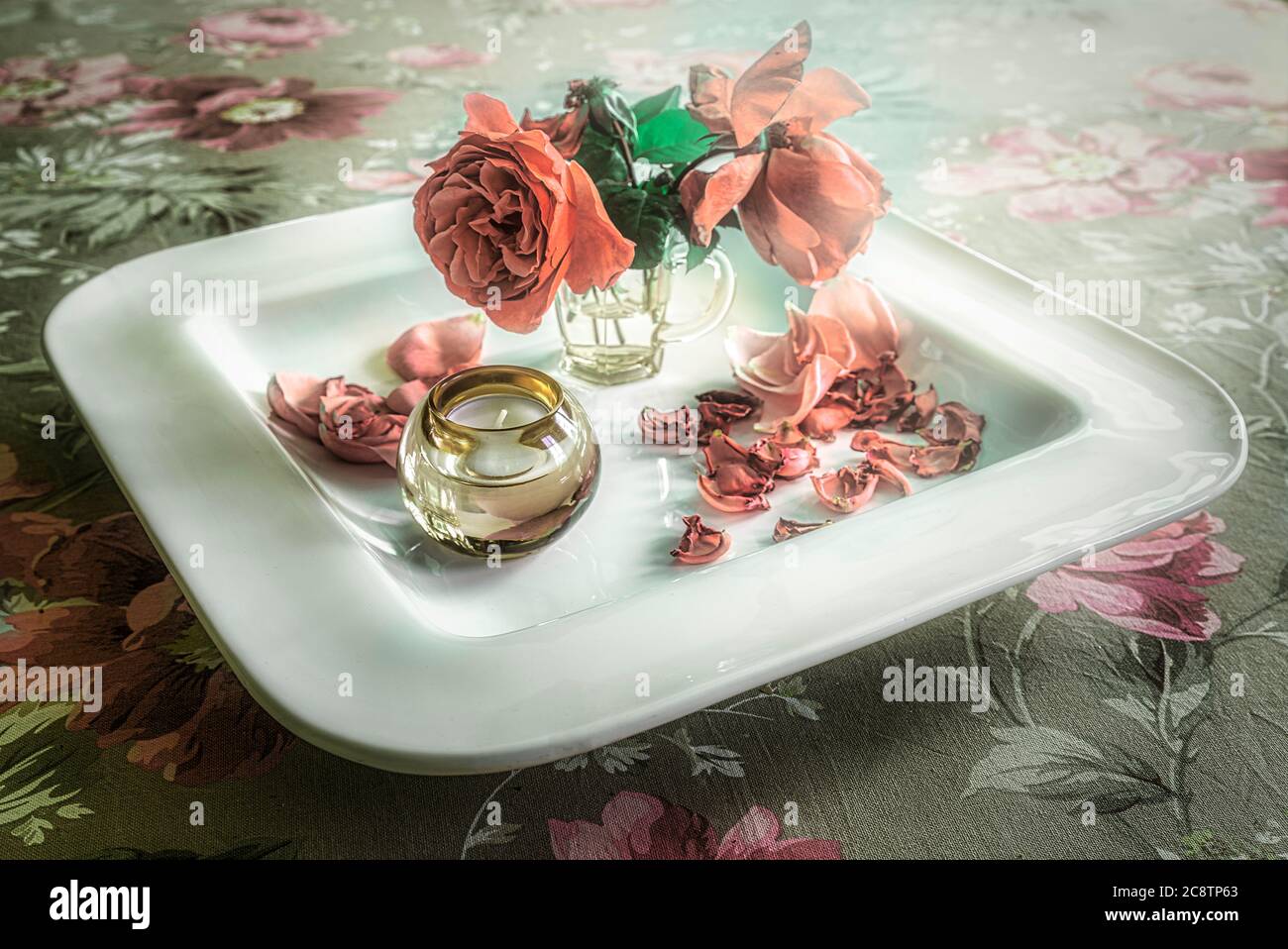 White rose petals in hi-res stock photography and images - Alamy