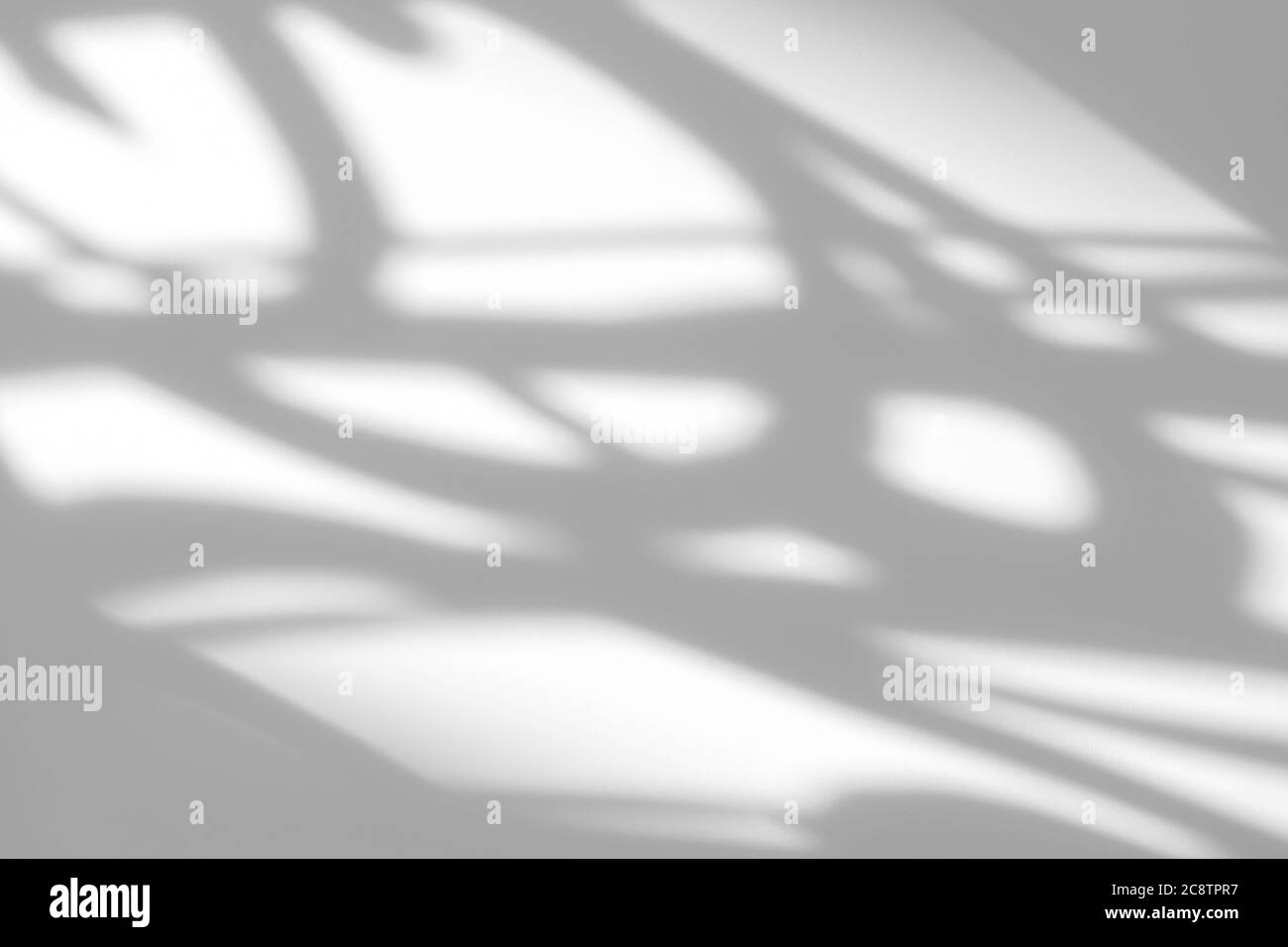 Organic drop shadow on a white wall Stock Photo - Alamy