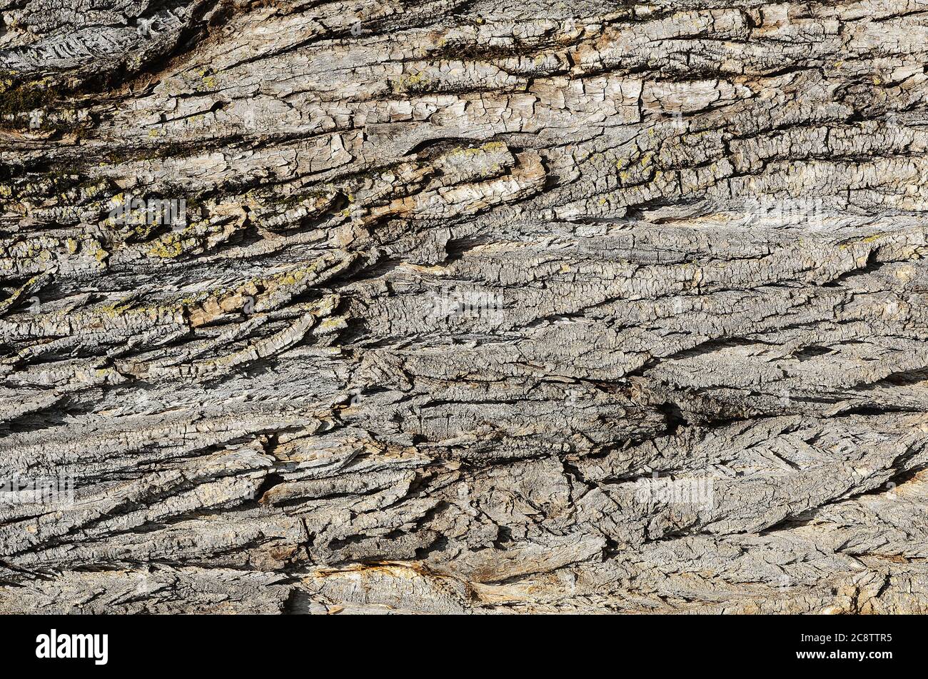 Raised texture hi-res stock photography and images - Alamy
