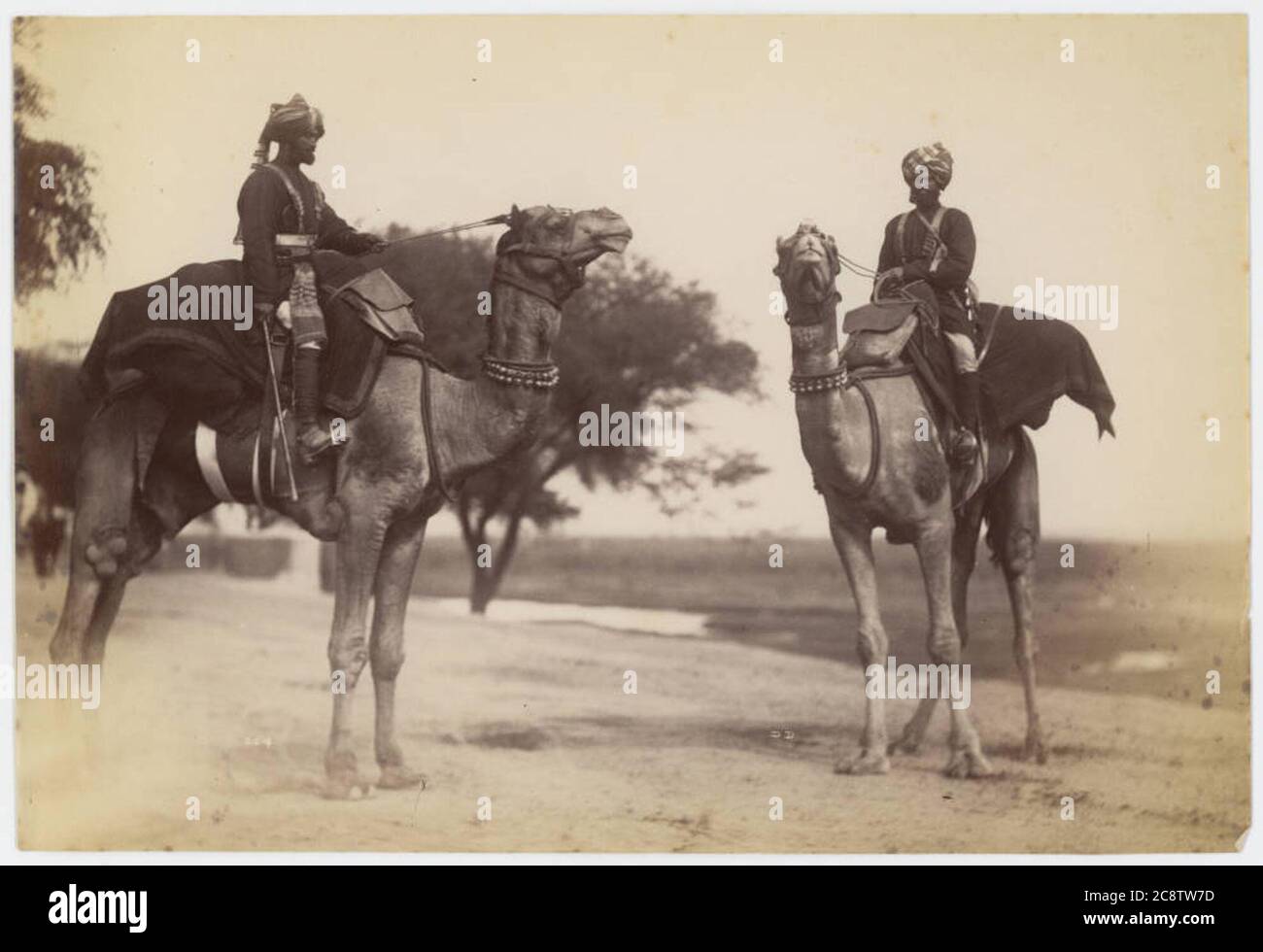 Camel Soldiers Stock Photo - Alamy