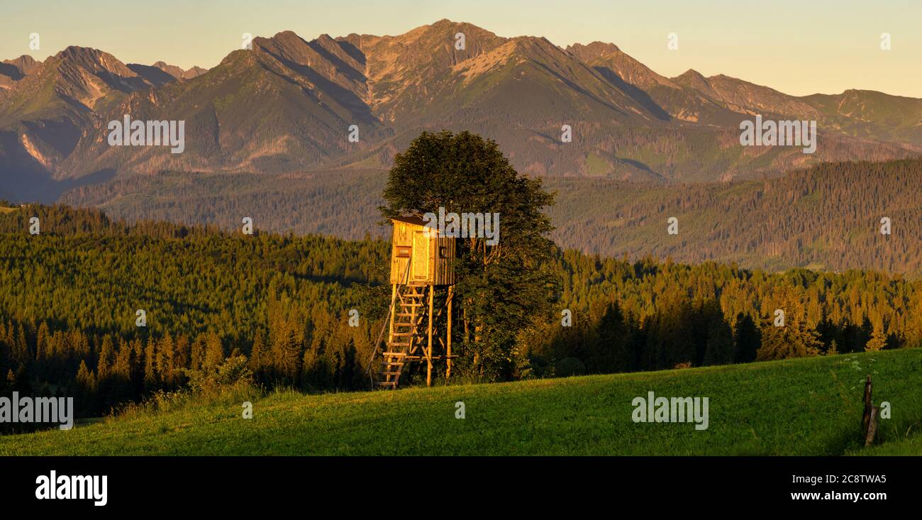 hunting tower against the backdrop of the Panorama of the Tatra ...