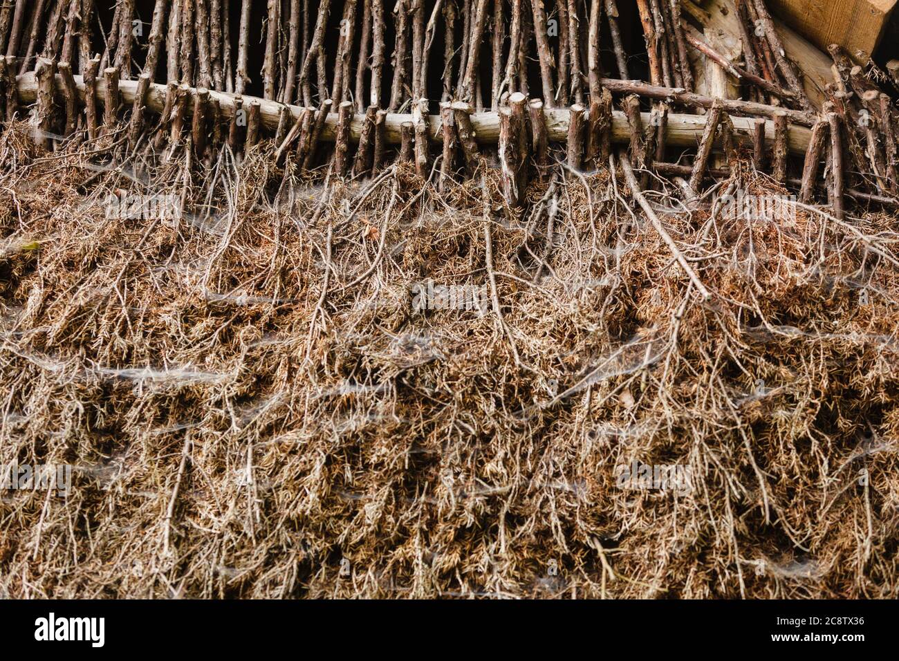 Patterns and textures details concept. Detailed closuep of dry dark hay ...