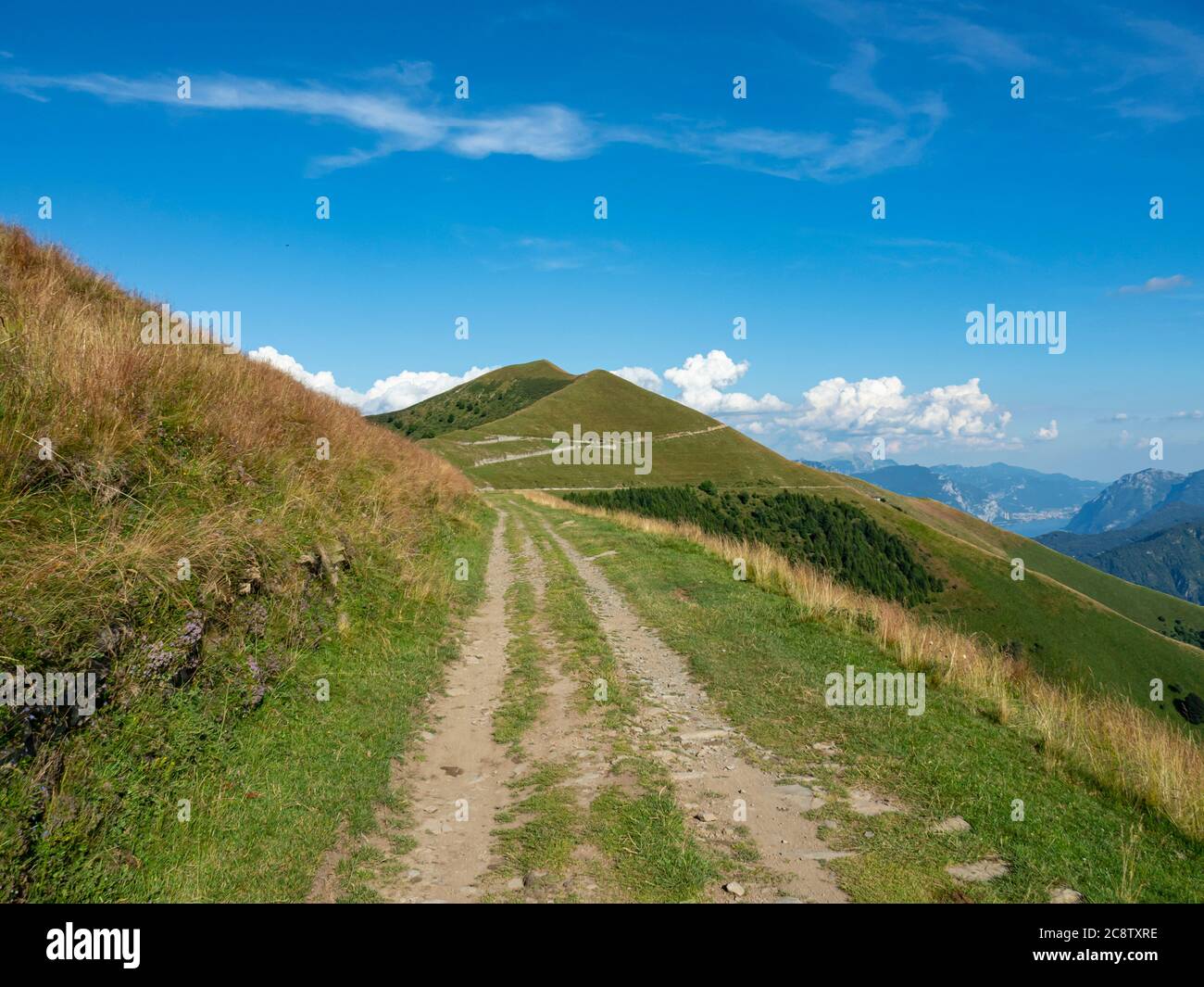 Como Hill Road High Resolution Stock Photography and Images - Alamy