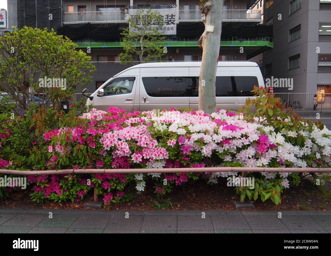 Tokyo downtown street in spring Stock Photo - Alamy