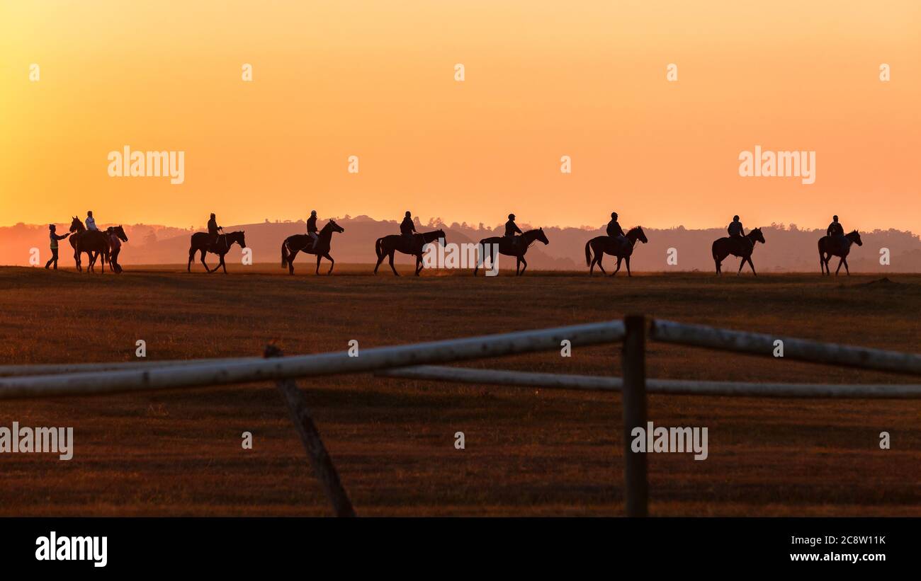 Race horses jockey riders training early dawn sunrise closeup running ...