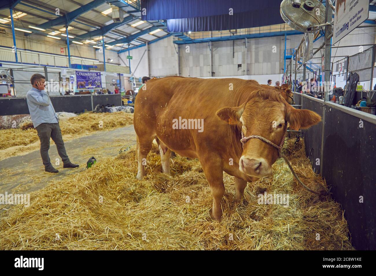 Annual exhibit hi-res stock photography and images - Alamy