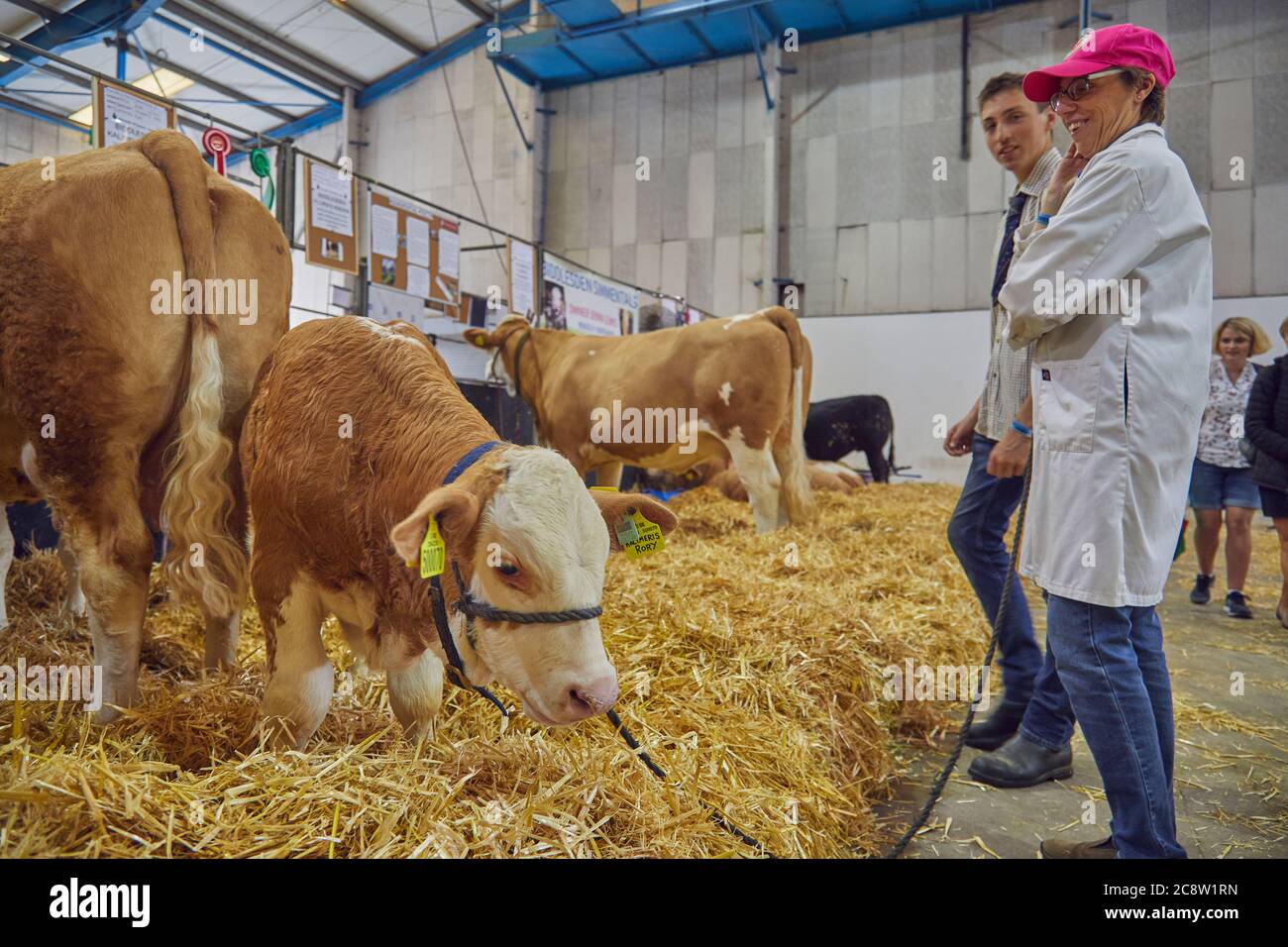 Country show exhibit hi-res stock photography and images - Alamy
