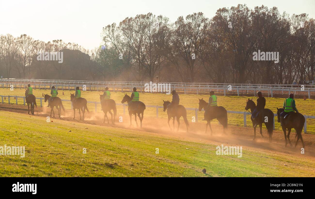 Race horses jockey riders training early dawn a scenic outdoors ...