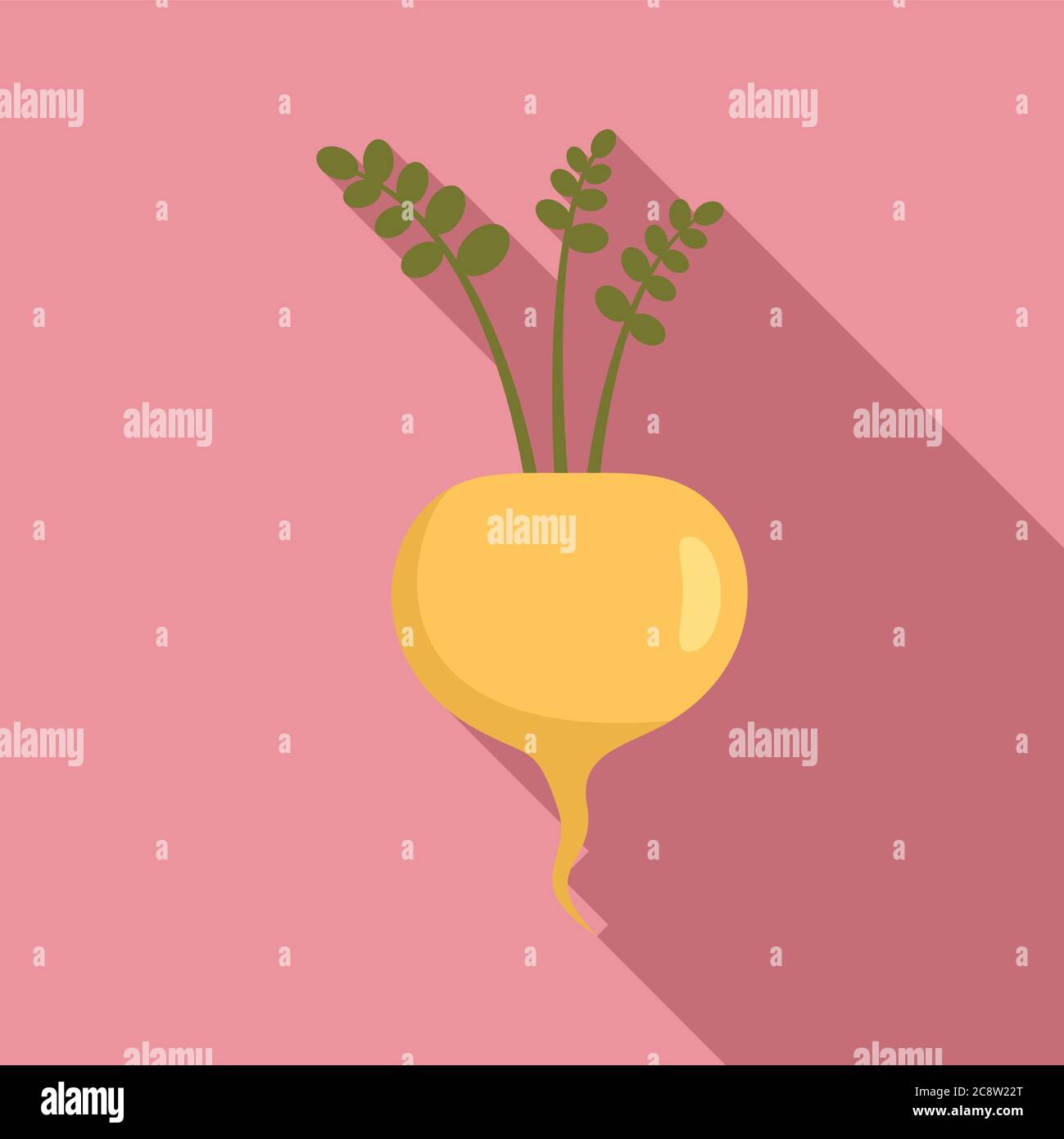 Daikon white radish green Stock Vector Images - Alamy