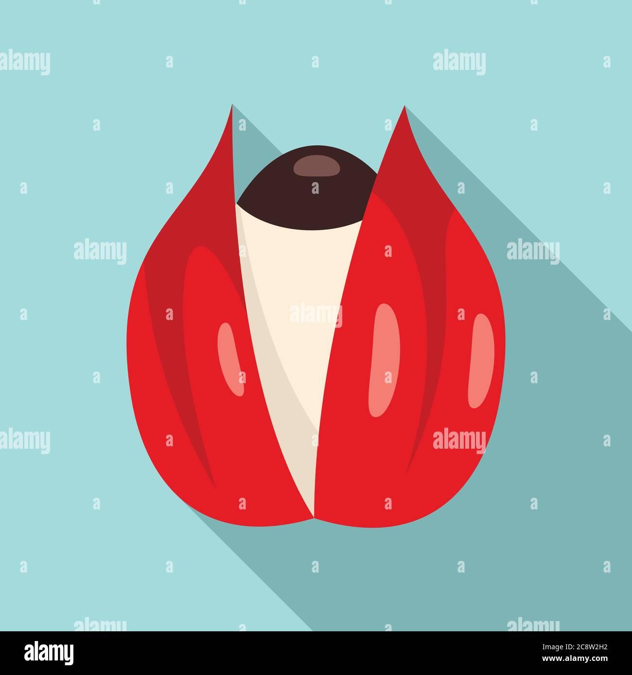 Tropical fruit superfood icon. Flat illustration of tropical fruit ...
