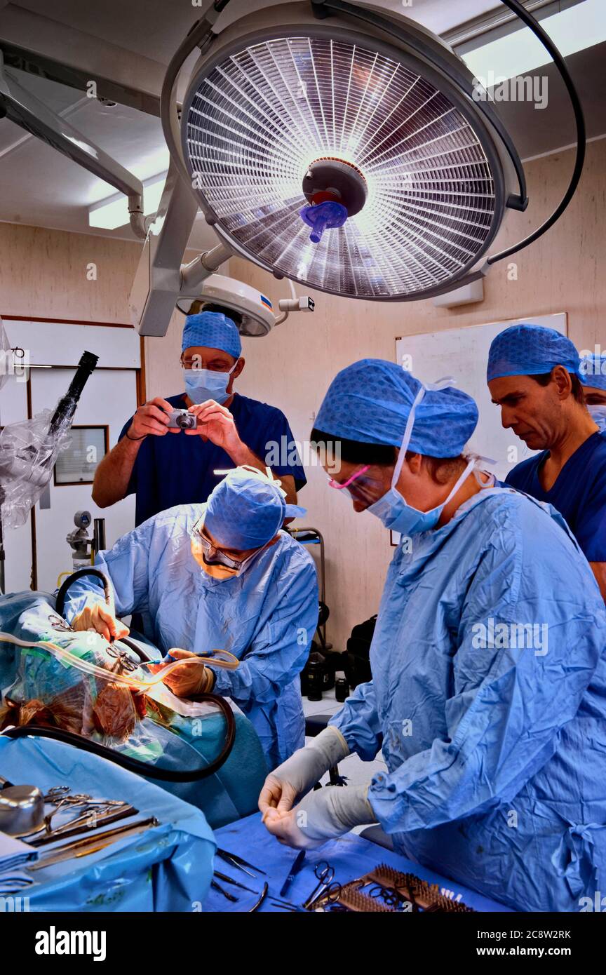 Cochlear implant hi-res stock photography and images - Alamy