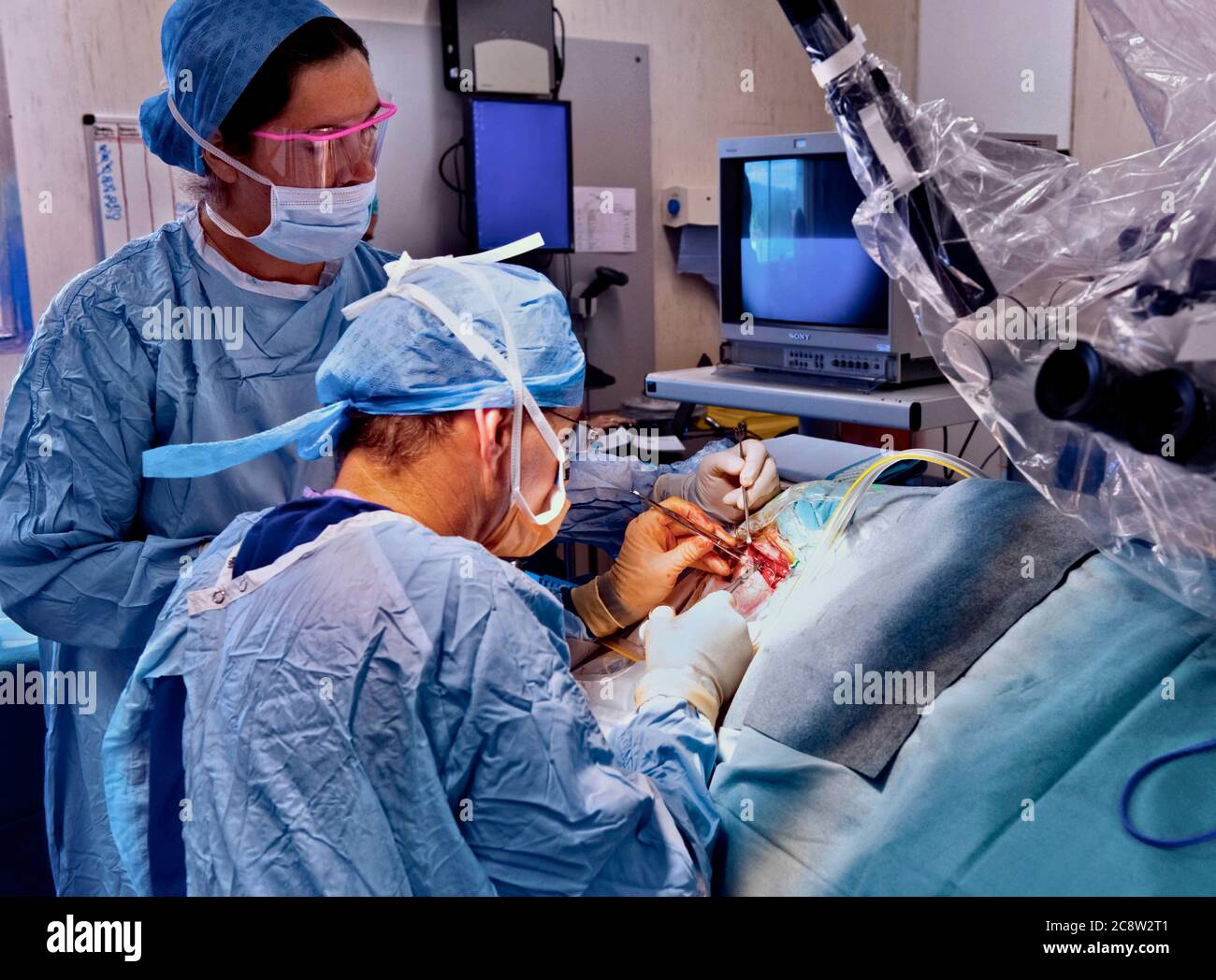 Cochlear implant hi-res stock photography and images - Alamy Cochlear implant hi-res stock photography and images - Alamy