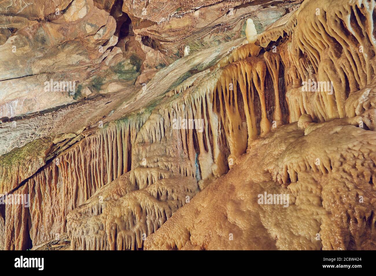 Stalactites above 'Niagara Falls', in Gough's Cave, in the Mendip Hills ...