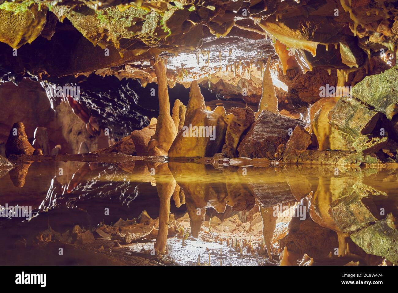 St Paul's stalactites, in Gough's Cave, in Cheddar Gorge, in the Mendip ...