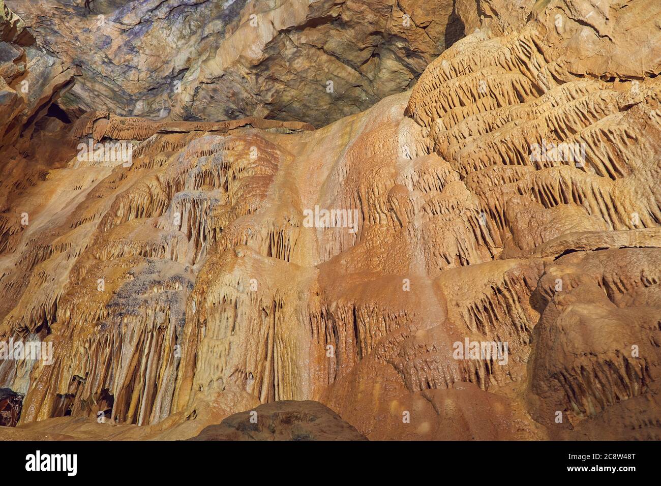 St Paul's stalactites, in Gough's Cave, in Cheddar Gorge, in the Mendip ...