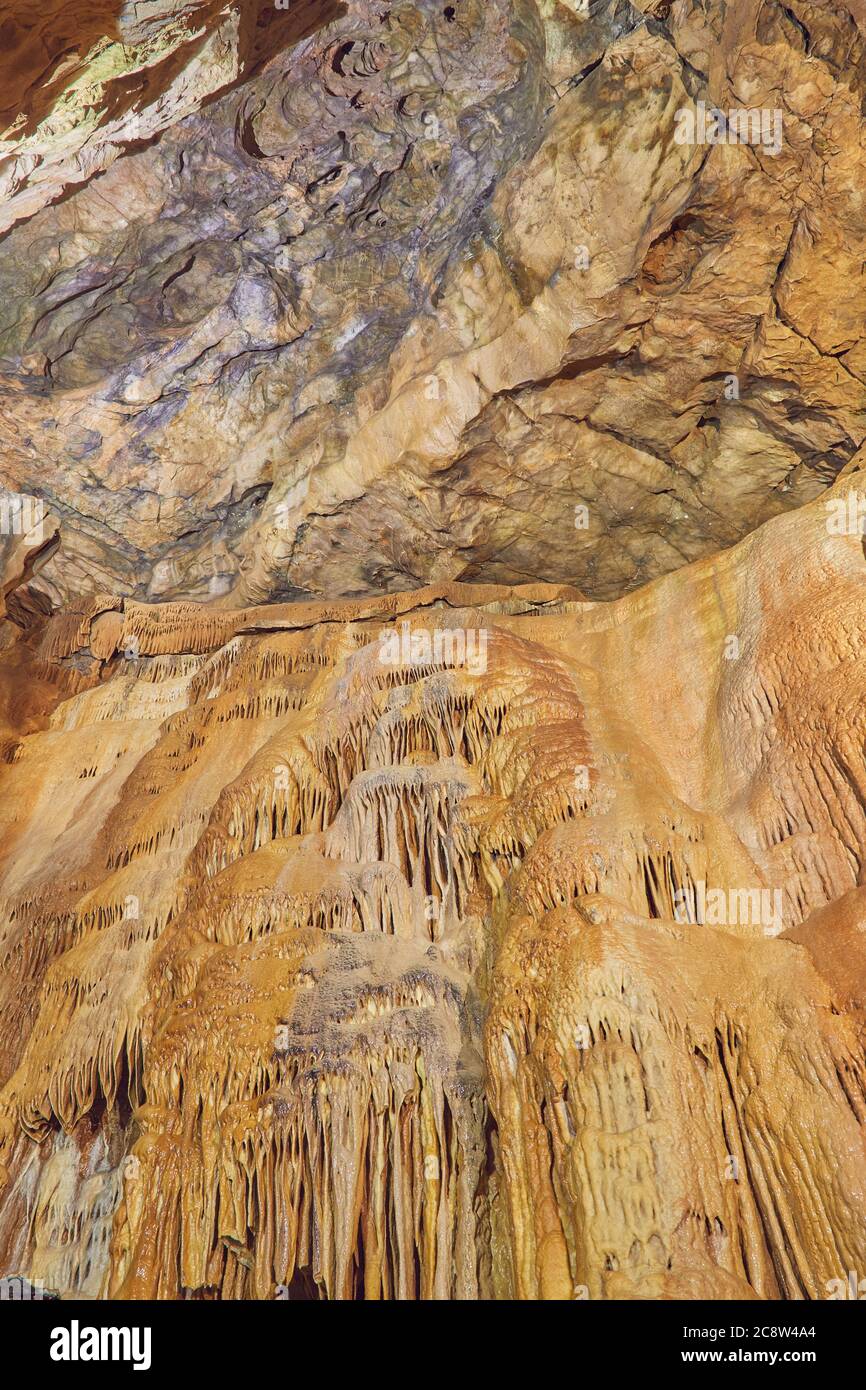 St Paul's stalactites, in Gough's Cave, in Cheddar Gorge, in the Mendip ...