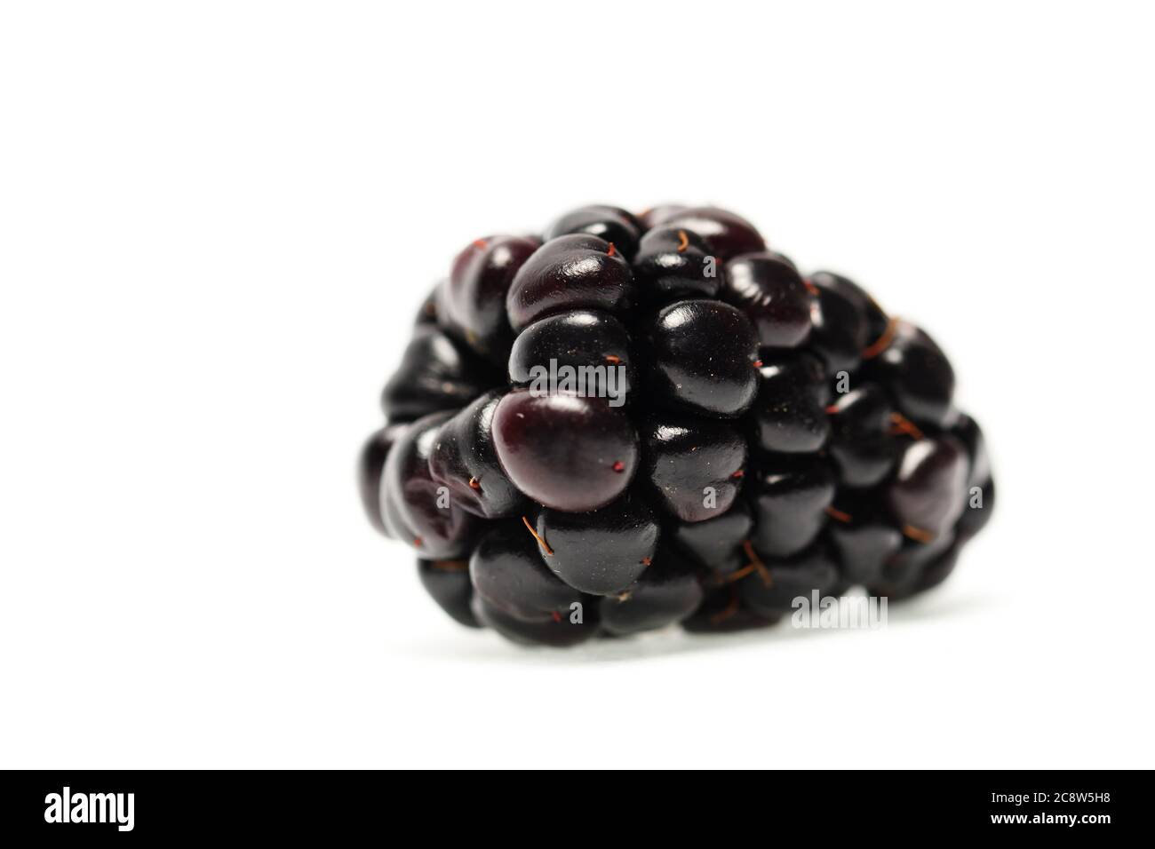 Single fresh blackberry isolated on white background Stock Photo - Alamy