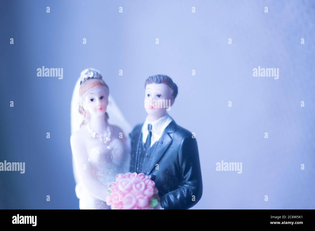Wedding couple marriage cake topper plastic figures with tuxedo evening ...