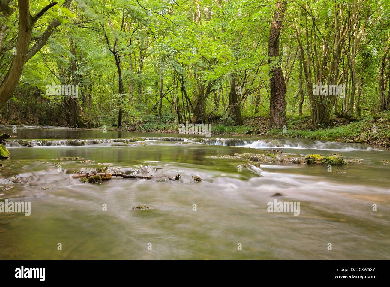 Cheile Nerei - Beusnita. Caras. Romania. Summer in wild Romanian river ...