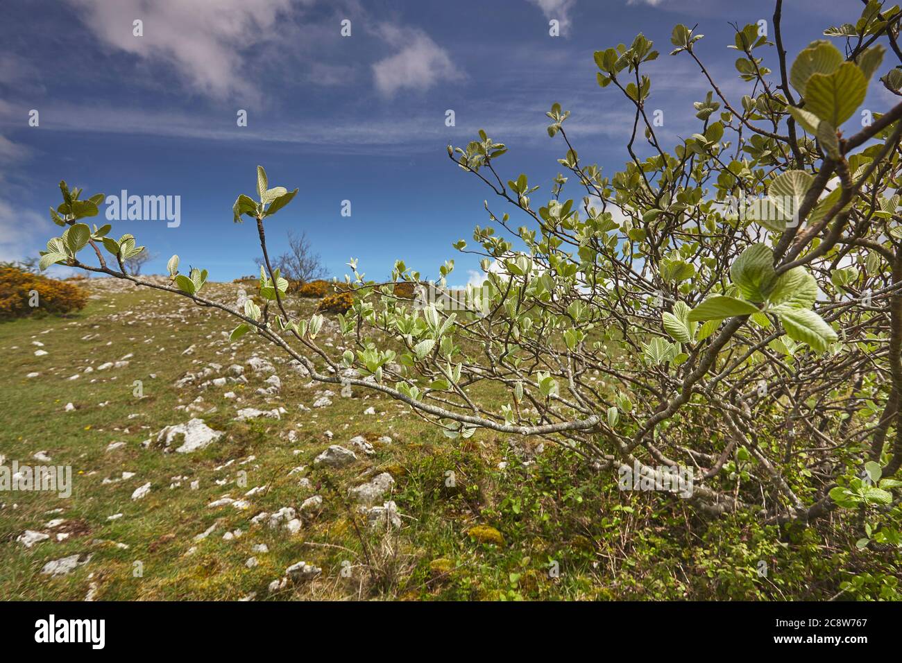 Protected wells hi-res stock photography and images - Alamy