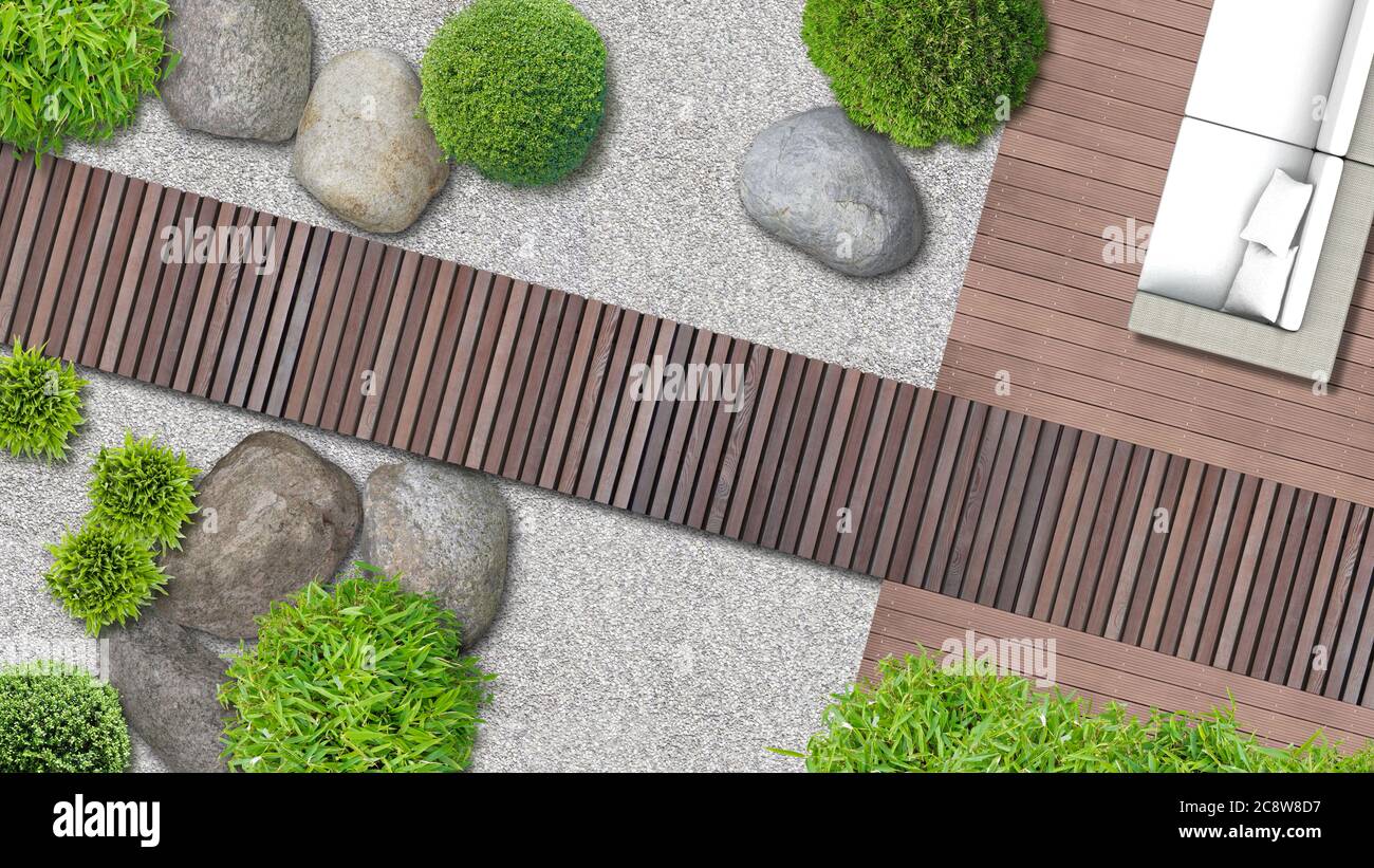 Japanese Boxwood High Resolution Stock Photography and Images - Alamy