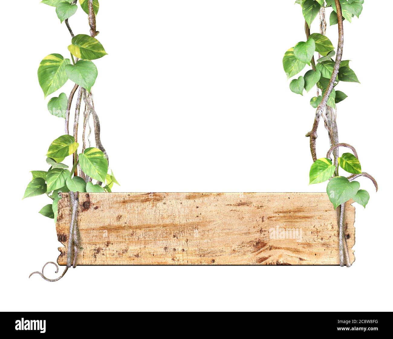 Vintage wooden board with liana branches and tropical leaves. Exotical ...
