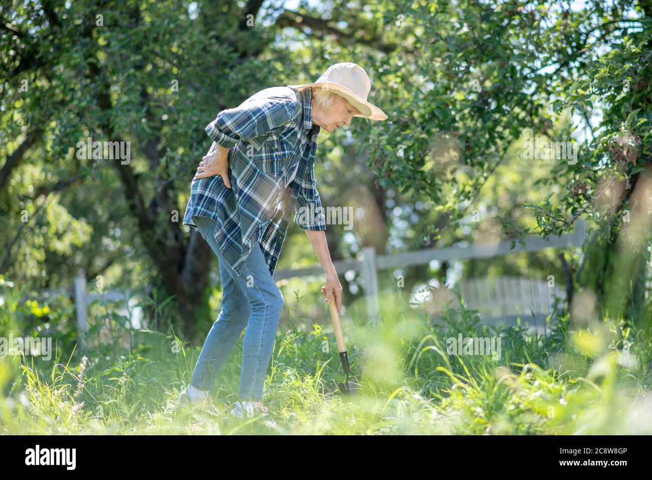 Greenery problems hi-res stock photography and images - Alamy
