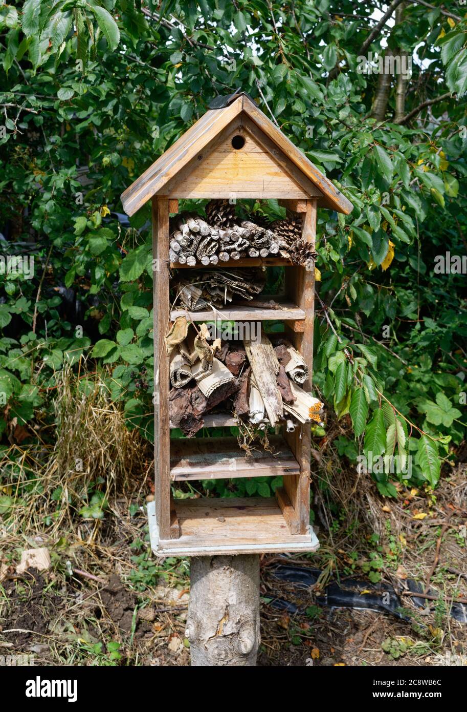 Wooden "bug hotel" for the environment and insects Stock Photo - Alamy