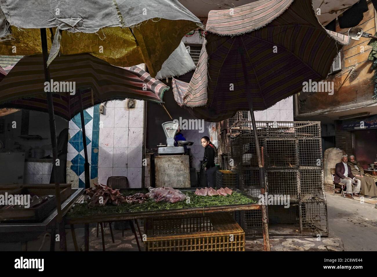 Cairo, Egypt, People in a market in the Dokki section of town. | usage ...