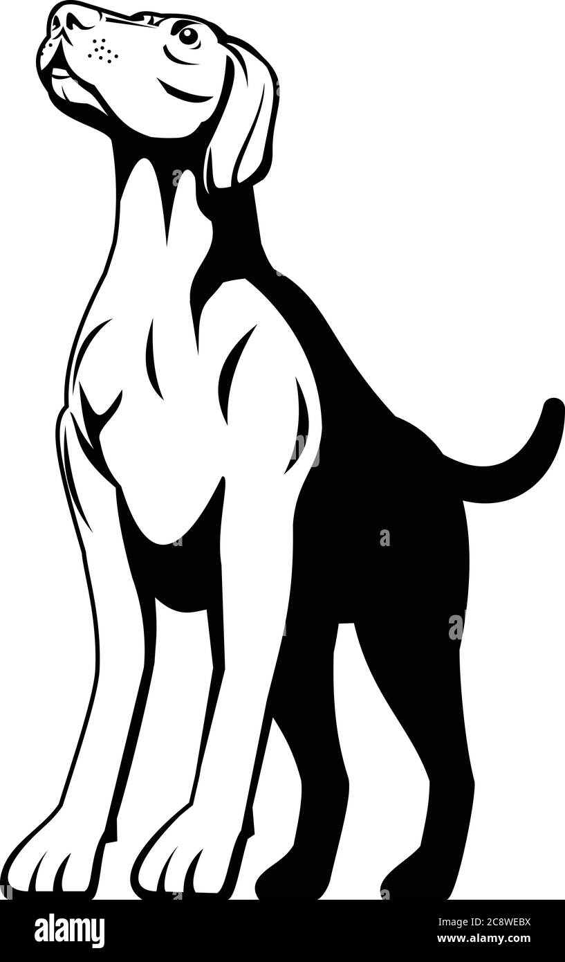 Shorthaired vector vectors Black and White Stock Photos & Images - Alamy