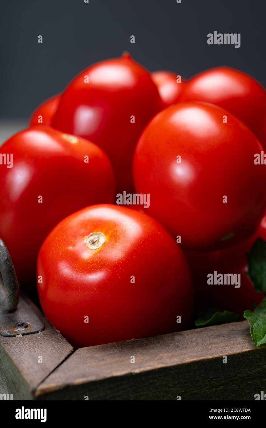 New harvest of fresh ripe red tomatoes close up Stock Photo - Alamy