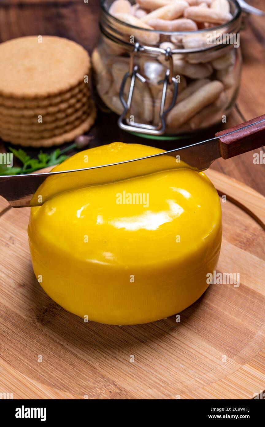 Dutch baby gouda cheese in yellow wax close up Stock Photo - Alamy