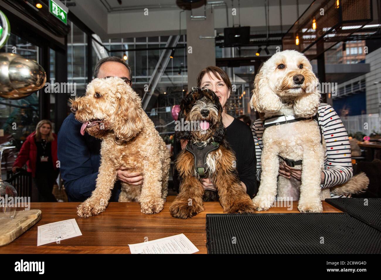 Cockapoo and French Bulldog breed-specific dog event in Shoreditch ...