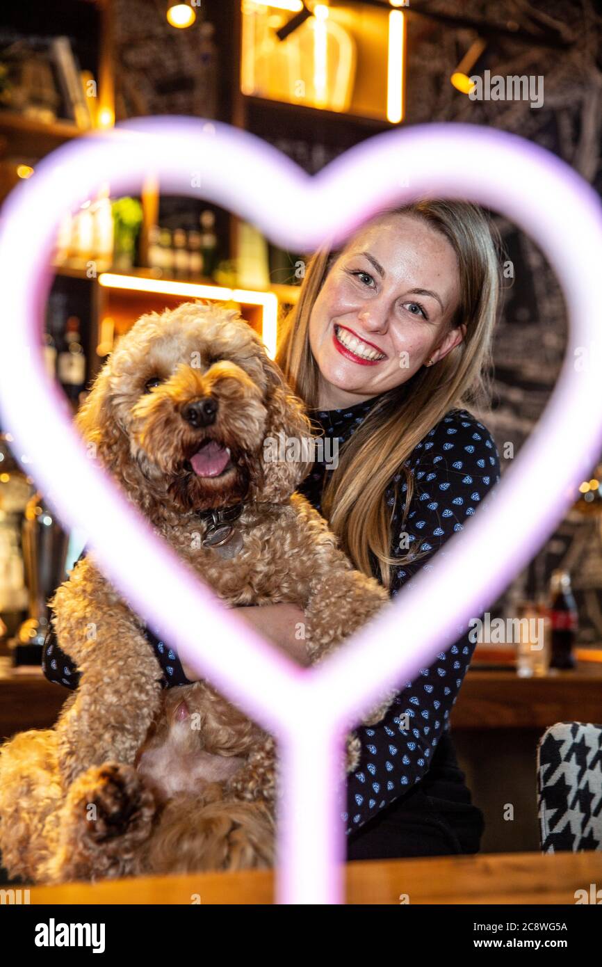 Cockapoo cafe uk hi-res stock photography and images - Alamy