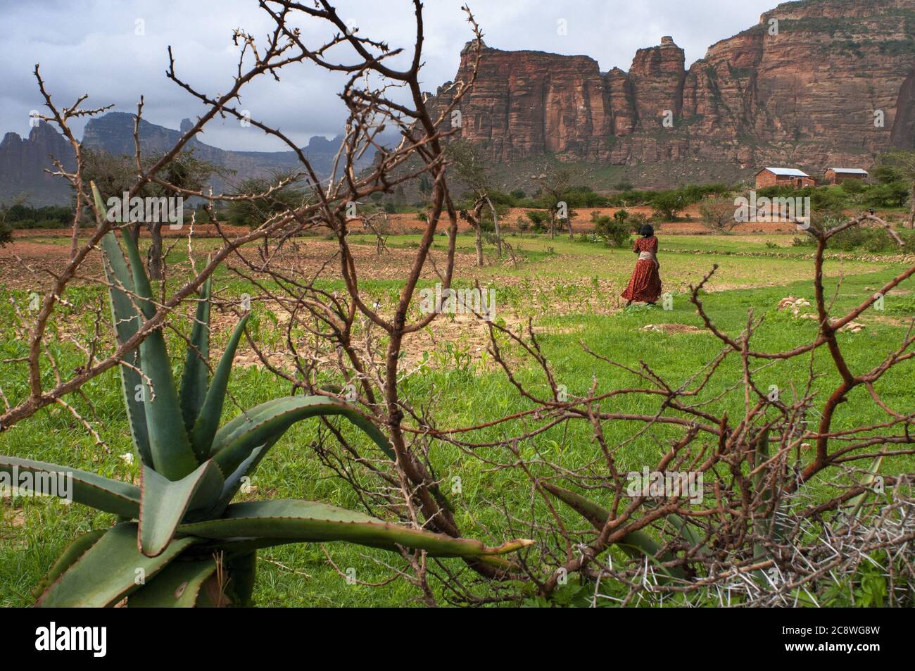 Gheralta mountains, near Hawzen, Eastern Tigray, Ethiopia. A country ...