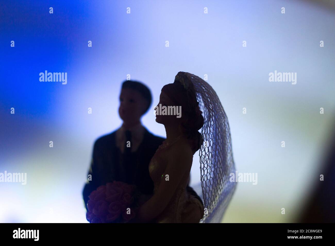 Wedding couple marriage cake topper plastic figures with tuxedo evening ...