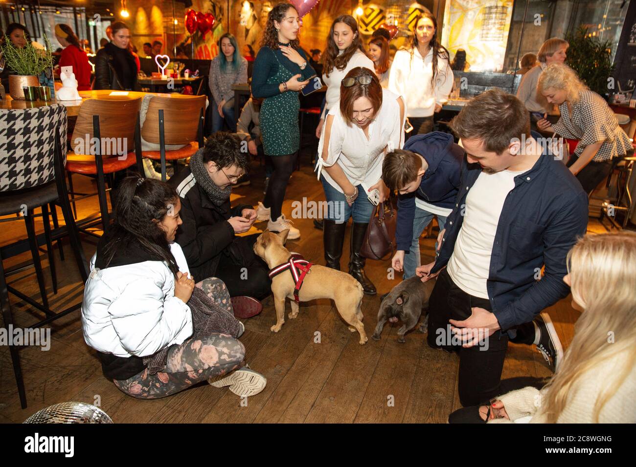 Cockapoo and French Bulldog breed-specific dog event in Shoreditch ...