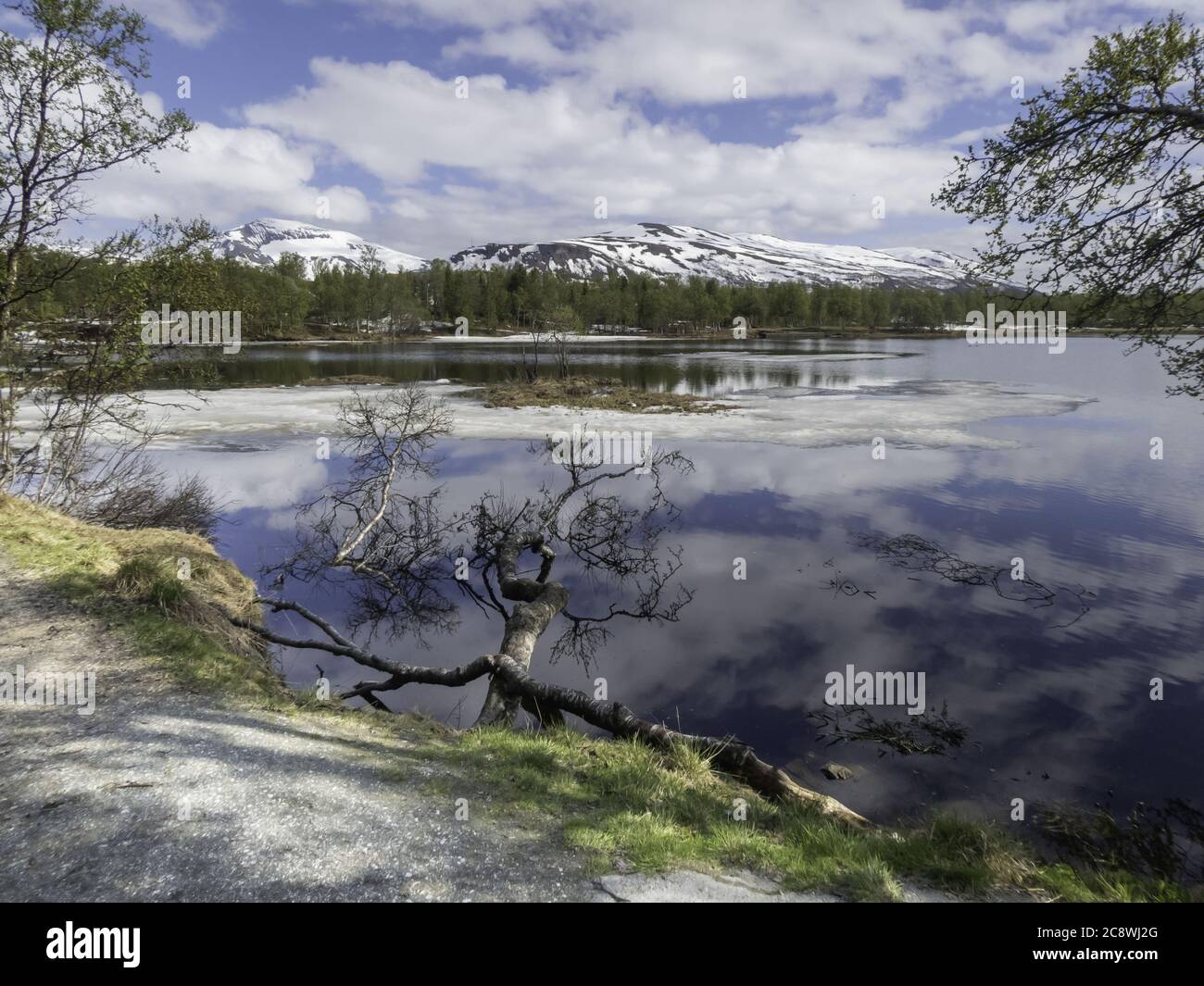late spring at lake Prestvannet, june 2020 | usage worldwide Stock ...
